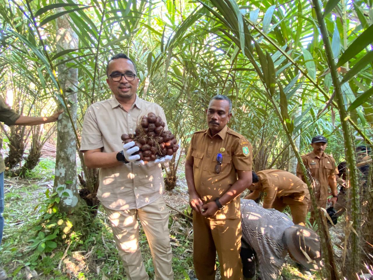 Panen Salak, Pj Wali Kota: Lahan Pertanian Sabang Menjanjikan – Haba Publik